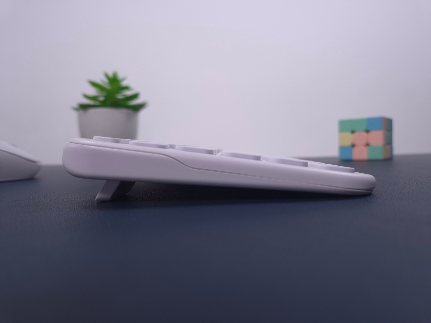 ASUS Marshmallow Keyboard KW100 (2025) Review: Same Sweetness, Fresh ...